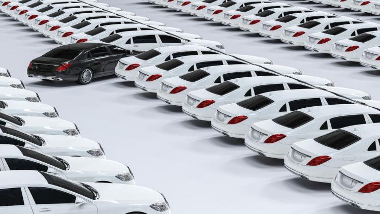 Everest Fleet: Pioneering India's Fleet Management and Sustainable Mobility